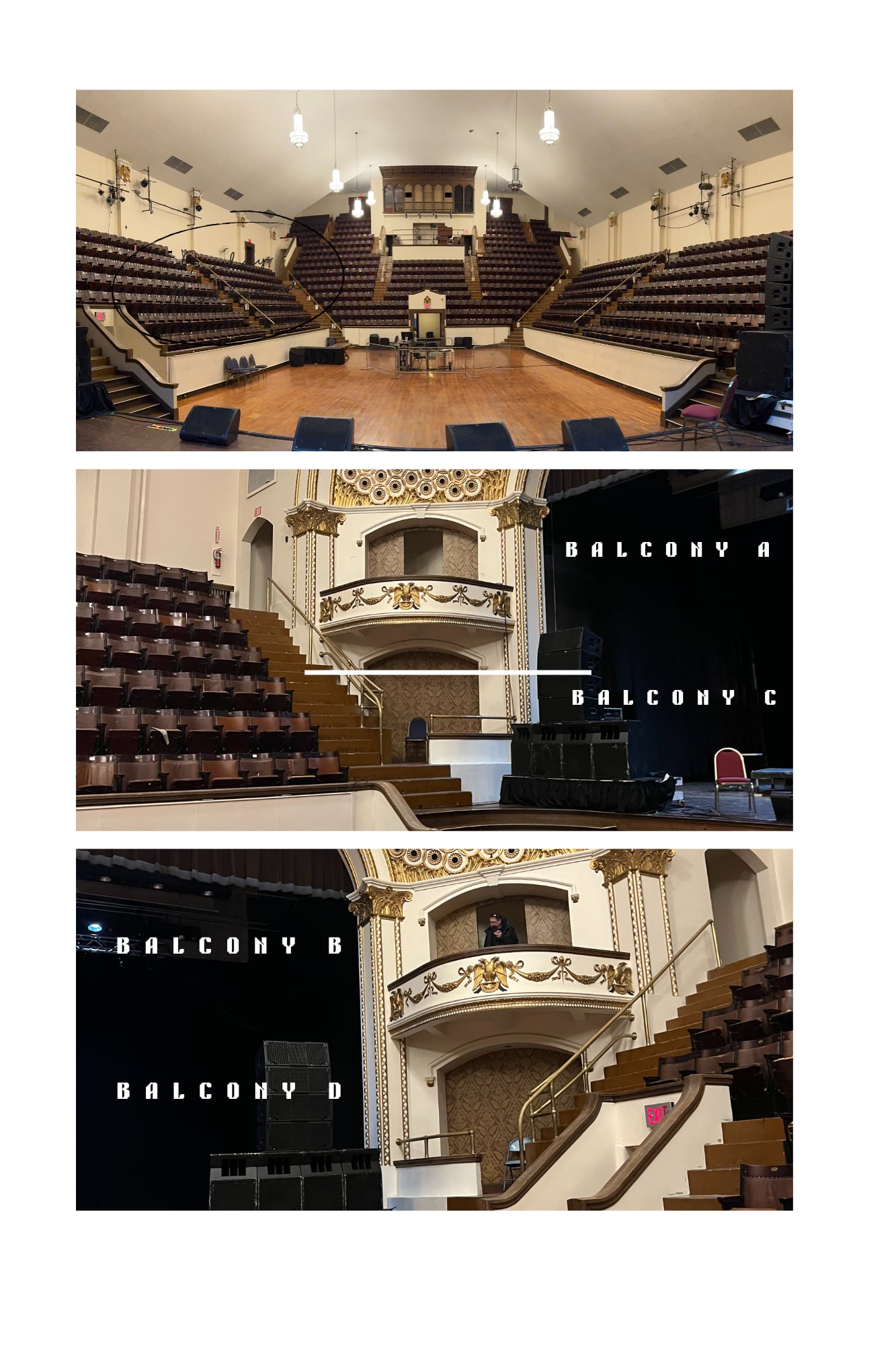 MMA Fighter - Alex Poinar